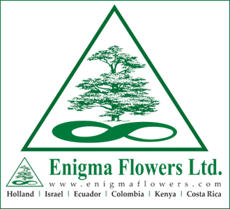 Home - Gymsport Leiden